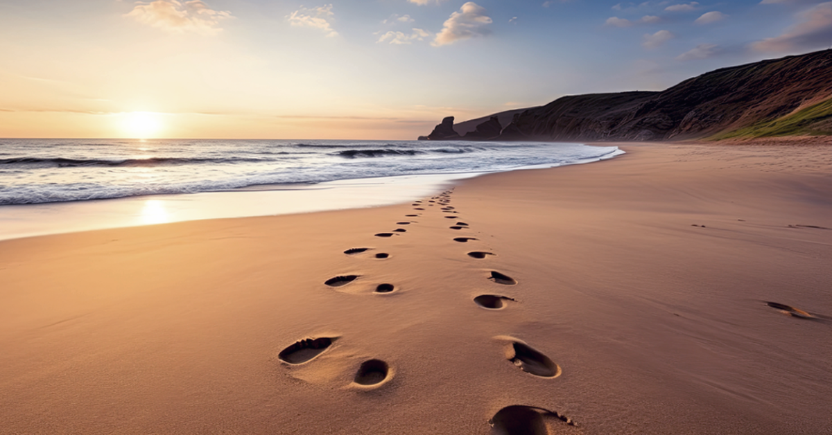 SAP CDP and CDC: Two Sides of the Same Coin | NETCONOMY